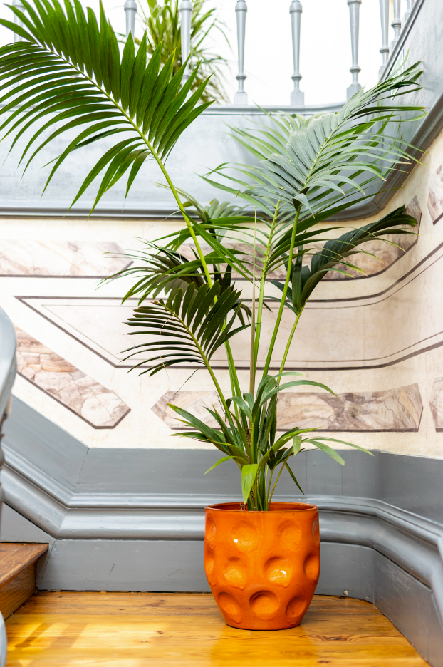 LUA PACK - Terracotta Glazed Plant Pots Set, Sunburst Orange – Plantpatio